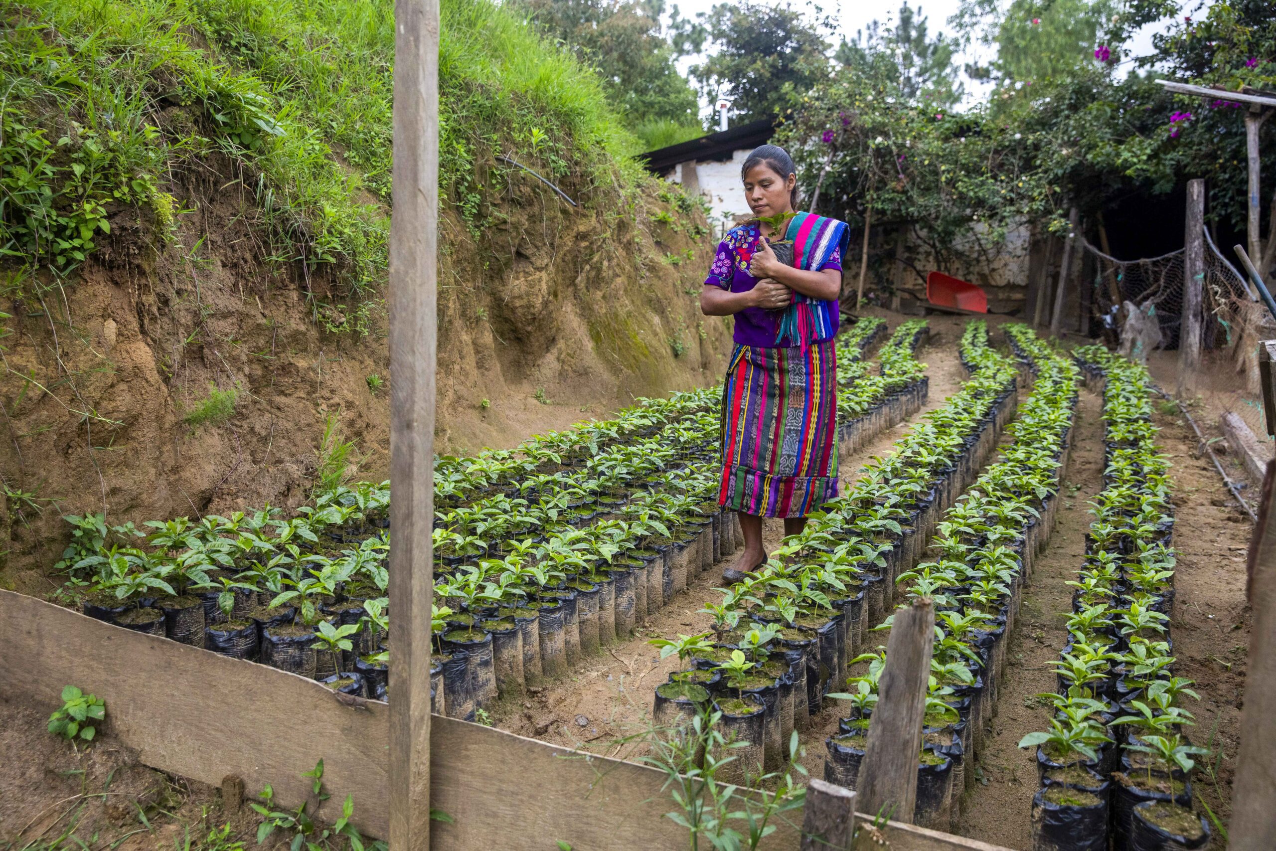 Was wir tun - Fastenaktion